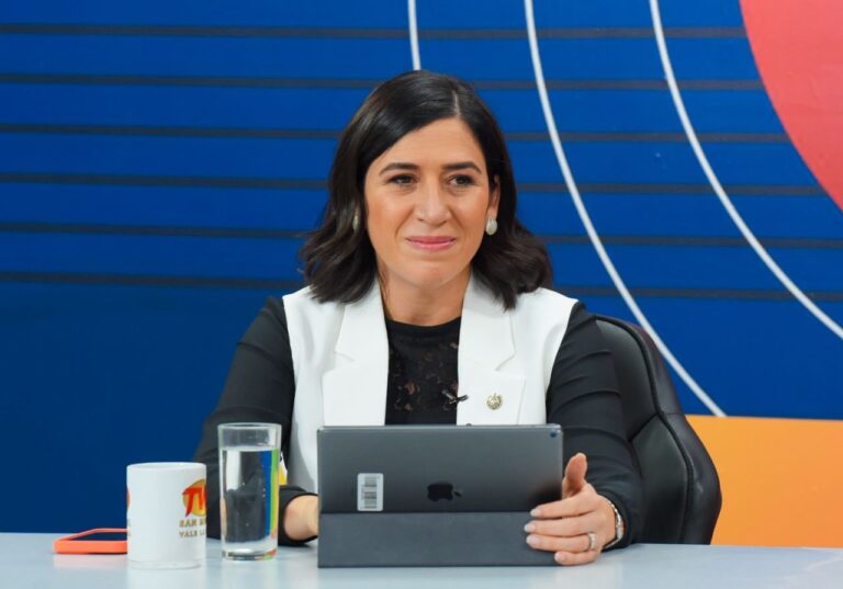 Ministra Hayem: Gobierno hace un gran esfuerzo para mantener precios ...