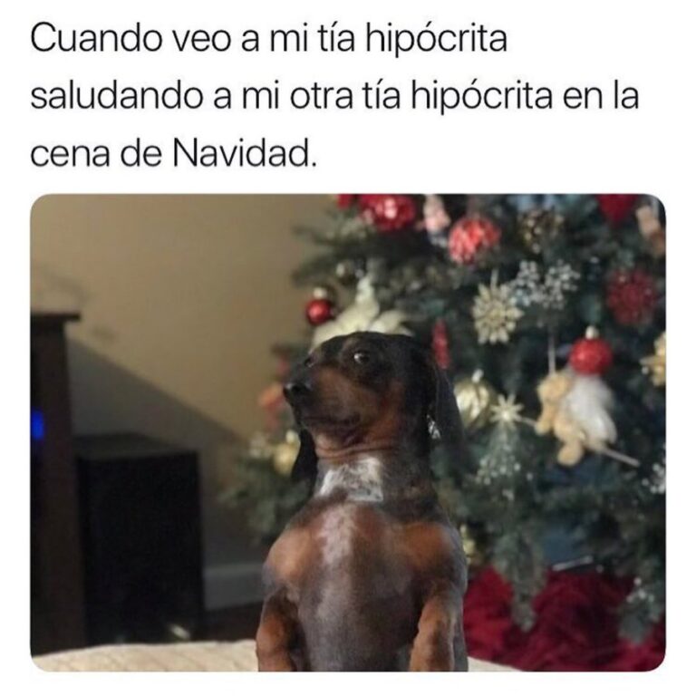 Los mejores memes para celebrar Navidad - Noticias La Gaceta