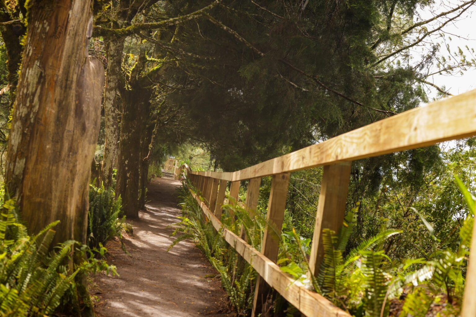 Así luce el renovado Parque Nacional El Boquerón - Noticias La Gaceta